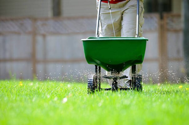Expert Lawn Fertilization Services in New Jersey | NJ Best Lawns